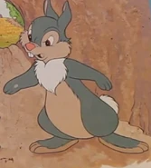 Papa Bunny | Bambi Wiki | Fandom