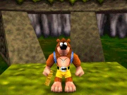 Jiggy | Banjo-Kazooie Wiki | Fandom
