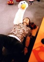 Honk! Honk! A Goose on the Loose! | Barney Wiki | Fandom