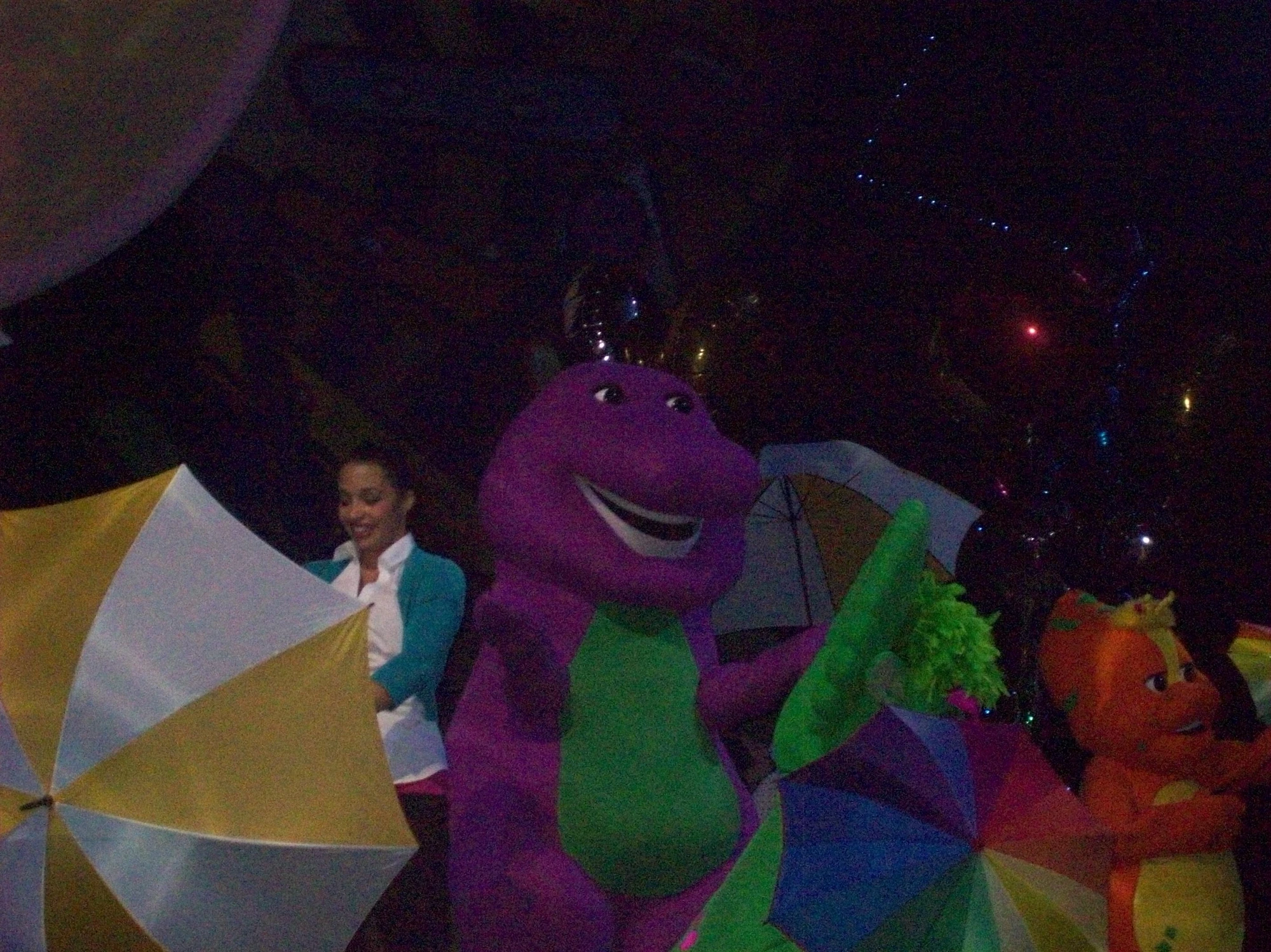 Image - 100 1180.JPG | Barney Wiki | FANDOM powered by Wikia