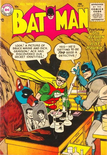 Batman Issue 97 | Batman Wiki | Fandom