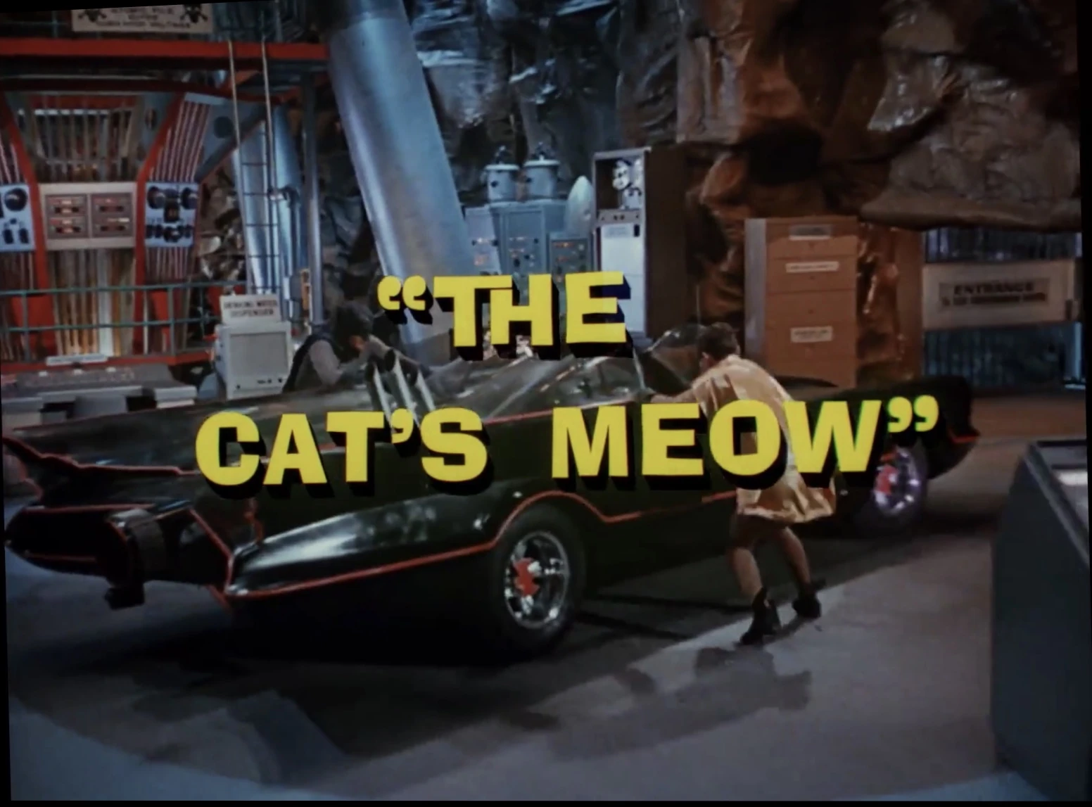 The Cat's Meow | Batman Wiki | Fandom