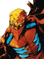 Batman Rogues Gallery | Batman Wiki | Fandom