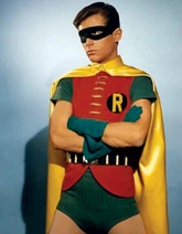Robin (Disambiguation) | Batman Wiki | Fandom