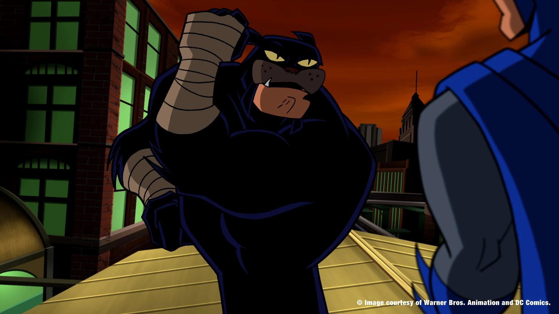 Wildcat | Batman: The Brave and the Bold Fanon Wiki | Fandom