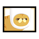 Pochi (Special Cat) | Battle Cats Wiki | Fandom