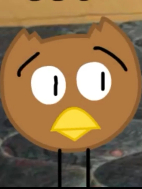 BFBOI | Battle for boi Wiki | Fandom