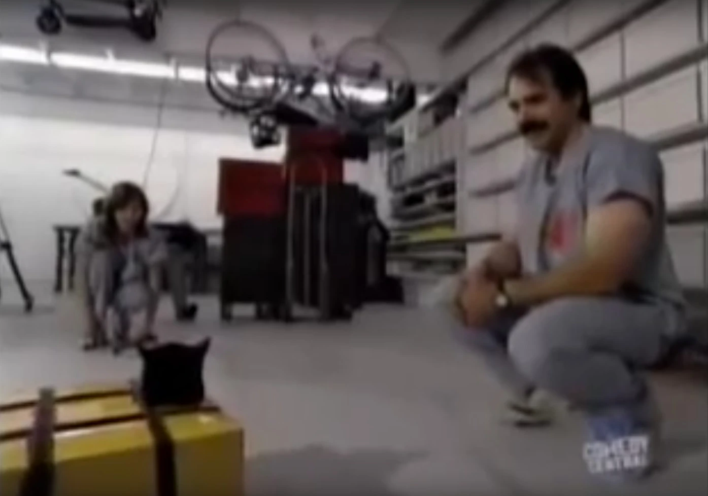 Category:BattleBots Personalities | Battlebots Wiki | Fandom
