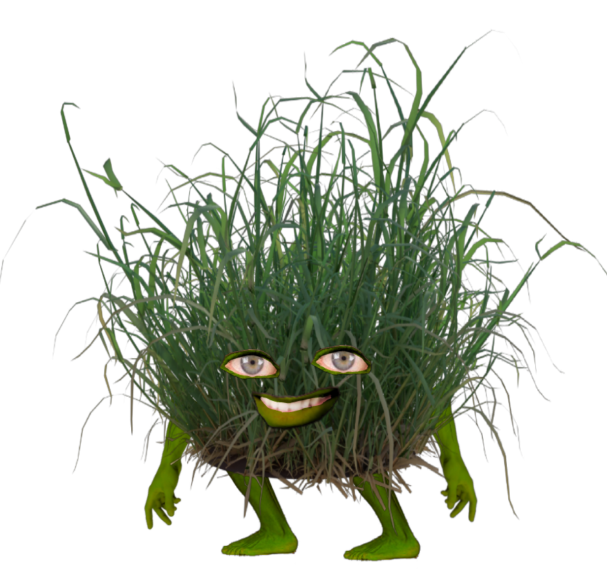 Image Real Grassy111111png Battle For Dream Island Wiki Fandom Powered By Wikia