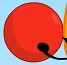 Balls | Battle for Dream Island Wiki | FANDOM powered by Wikia