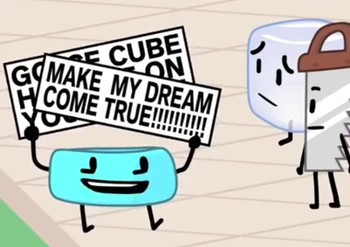 Bracelety and Ice Cube | Battle for Dream Island Wiki | Fandom