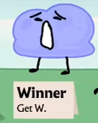 Winner | Battle for Dream Island Wiki | FANDOM powered by Wikia