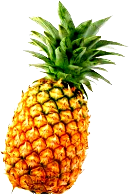 Image - Pineapple.png | Battle for Dream Island Wiki | FANDOM powered ...