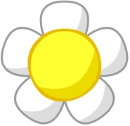 Daisy Flower | Object Shows Community | Fandom