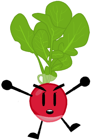 Radish | Object Shows Community | Fandom