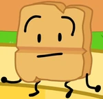 Woody | Object Shows Community | Fandom