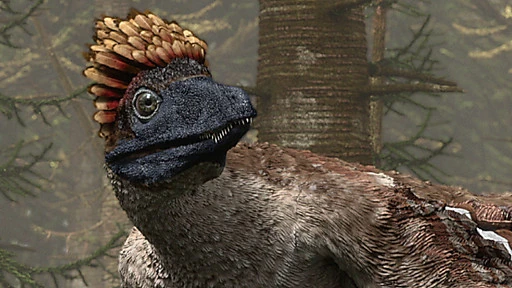 Microraptor | BBC Planet Dinosaur Wiki | FANDOM powered by Wikia