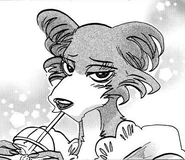 Juno/Image Gallery | Beastars Wiki | Fandom