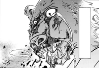 Riz | Beastars Wiki | Fandom