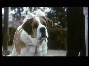 Missy | Beethoven Wiki | Fandom