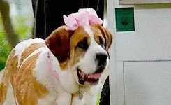 Missy | Beethoven Wiki | Fandom