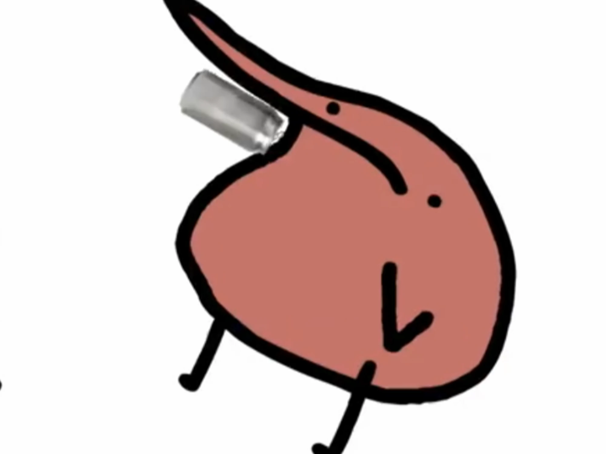 Sketchy Berd | Berd Wiki | Fandom