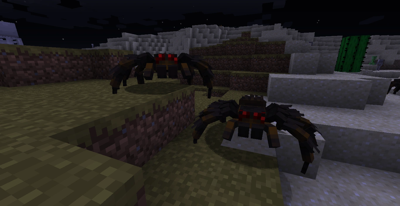 Tarantula | Better Animals Plus Wiki | Fandom