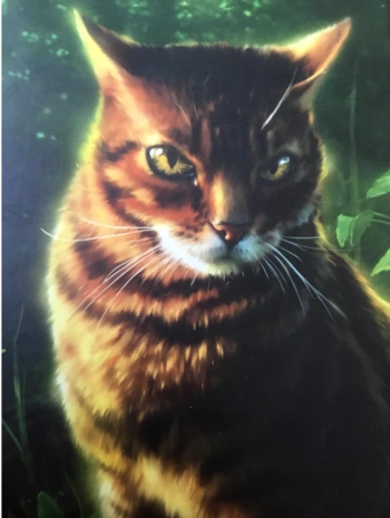 Tigerstar II | Abetterwarriorcatswiki Wiki | Fandom