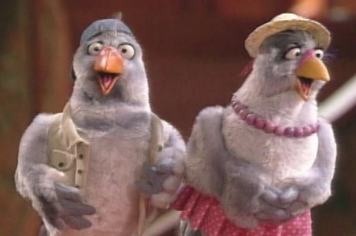 Walter and Clay Pigeon | Between the Lions Wiki | FANDOM powered by Wikia