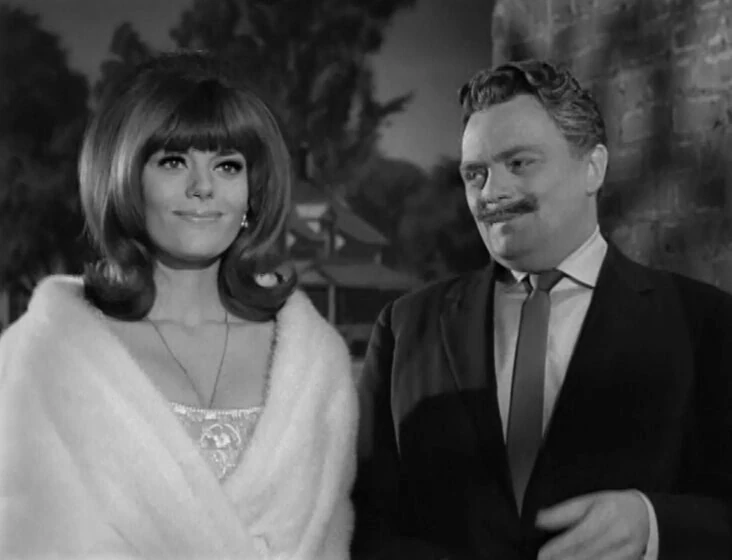 Disappearing Samantha | Bewitched Wiki | Fandom