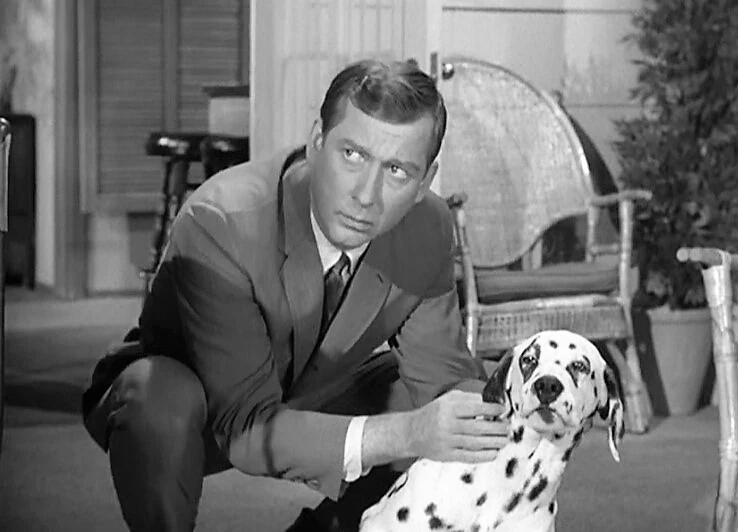 We're in for a Bad Spell | Bewitched Wiki | Fandom