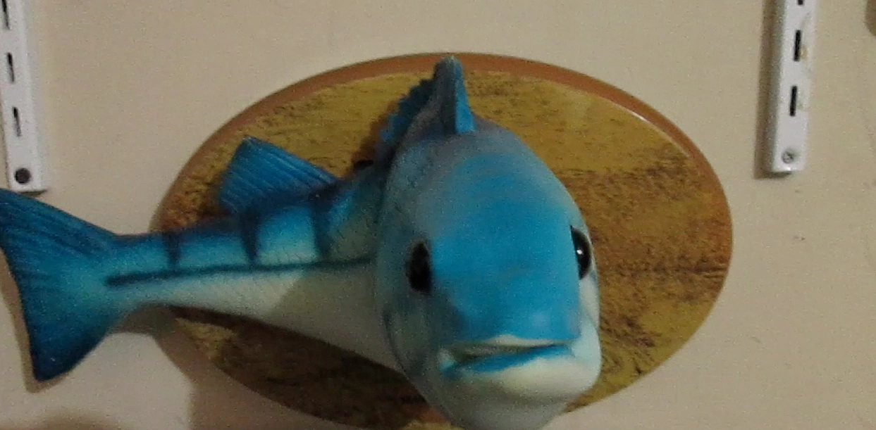 Frankie the fish | Big mouth Billy Bass Wiki | FANDOM powered by Wikia