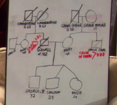 Image - Sheldon's Family Tree.jpg | The Big Bang Theory Wiki | FANDOM ...