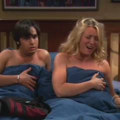 The Roommate Transmogrification | The Big Bang Theory Wiki | Fandom