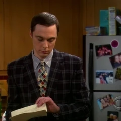 The Excelsior Acquisition | The Big Bang Theory Wiki | Fandom