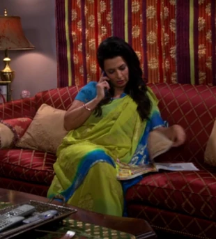 Mrs. Koothrappali | The Big Bang Theory Wiki | Fandom