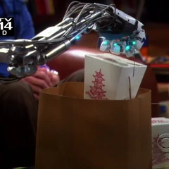 The Robotic Manipulation | The Big Bang Theory Wiki | Fandom