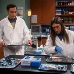 The Vacation Solution | The Big Bang Theory Wiki | FANDOM powered by Wikia