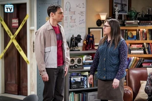 Sheldon and Amy | The Big Bang Theory Wiki | FANDOM powered by Wikia
