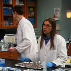 The Vacation Solution | The Big Bang Theory Wiki | FANDOM powered by Wikia