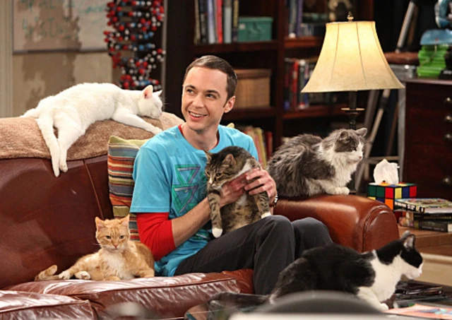 Sheldon's Cats | The Big Bang Theory Wiki | FANDOM powered by Wikia