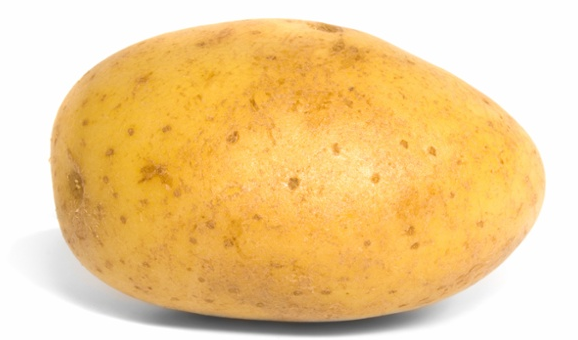 Potato | Biggest Wikia | FANDOM powered by Wikia Potato | Biggest Wikia | FANDOM powered by Wikia