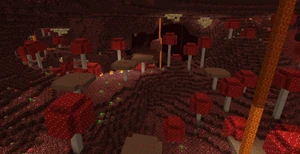 Biomes List | Biomes O' Plenty Wiki | Fandom