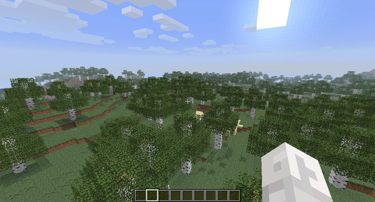 Birch Forest | Biomes O' Plenty Wiki | Fandom