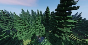 Coniferous Forest | Biomes O' Plenty Wiki | FANDOM powered by Wikia