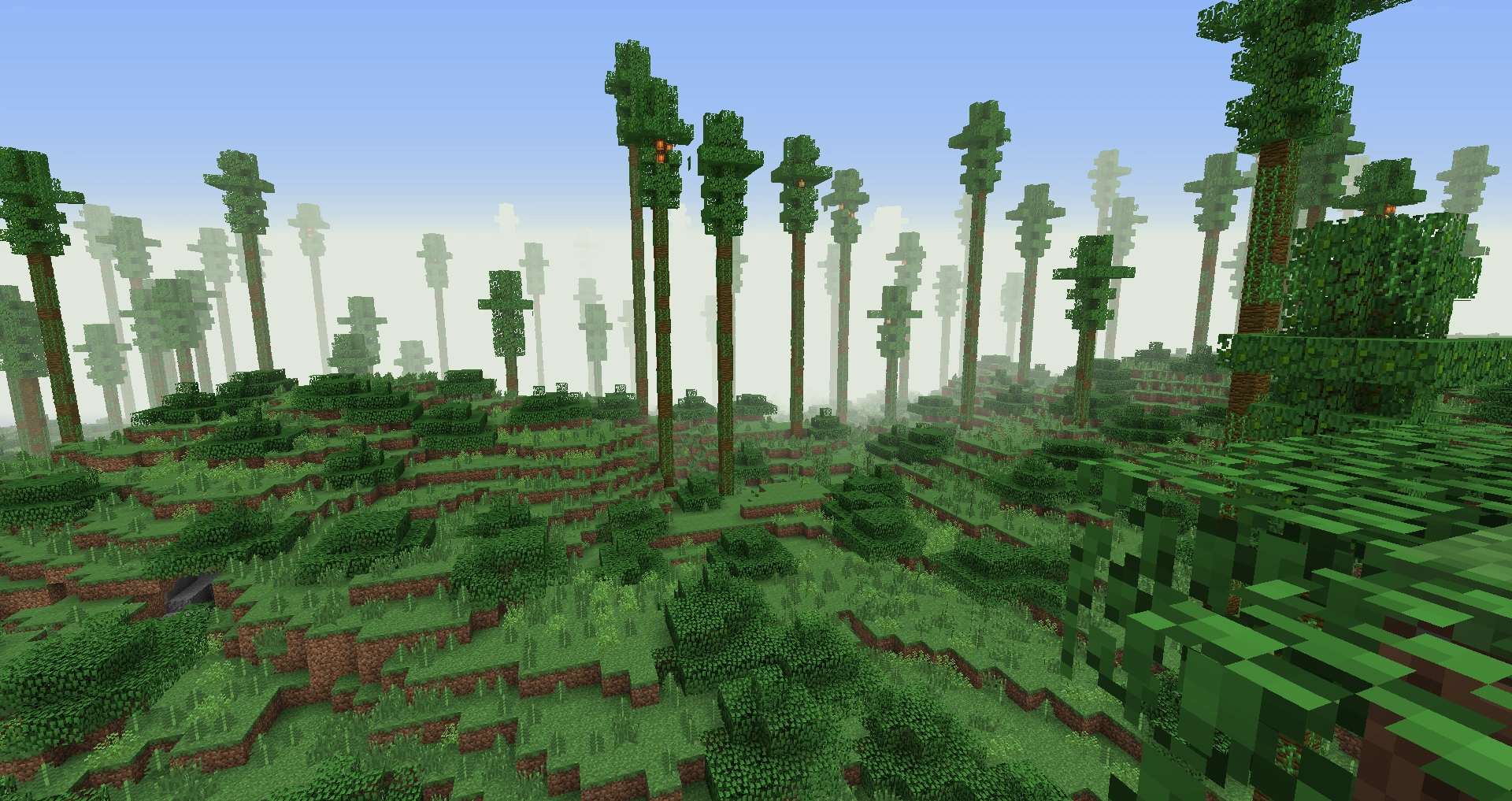 Eucalyptus Forest | Biomes O' Plenty Wiki | Fandom