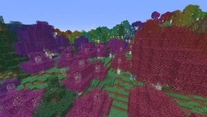 Biomes List | Biomes O' Plenty Wiki | Fandom