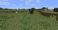 Shrubland | Biomes O' Plenty Wiki | Fandom