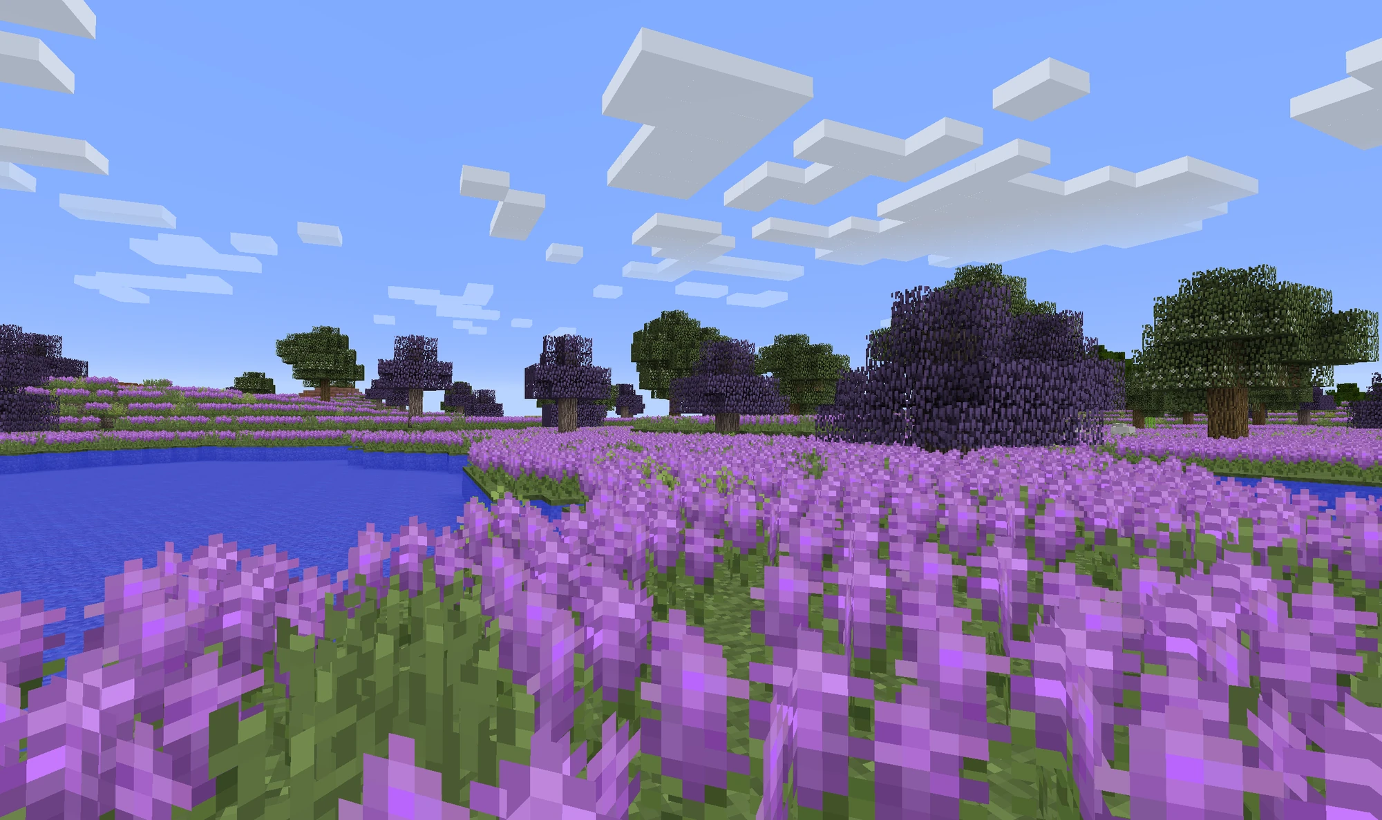 Lavender Fields | Biomes O' Plenty Wiki | FANDOM powered by Wikia