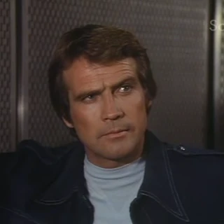 Target: Steve Austin | The Bionic Wiki | Fandom